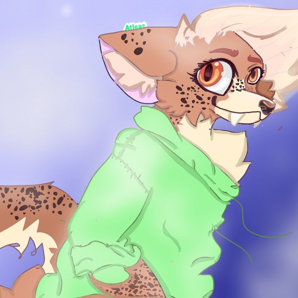 Mystery Fursona Box ART - Etsy