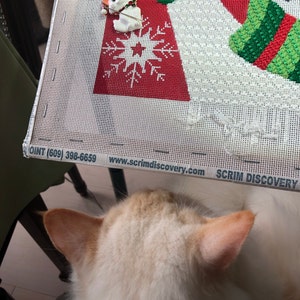 The Tea and Fish House Canvas by Kelly Clark Village Series - Etsy