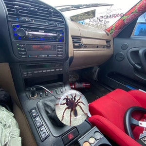 Cthulhu Octopus Kraken and Skull Head Handle Walking Stick Cane From ...