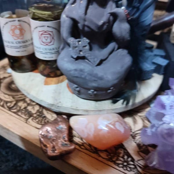 15 Item Curiosities Mystery Box | Real Animal Bones| Fossils & Minerals ...