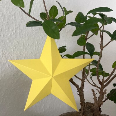 Star Papercraft, Low Poly, Papercraft, Papercraft 3d, PDF, DIY, Gift ...