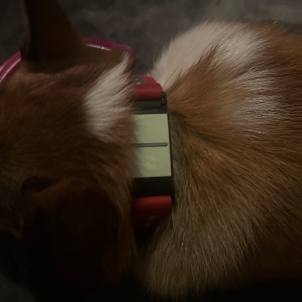 Tree Hugger leave No Trace Camp Hook - Etsy