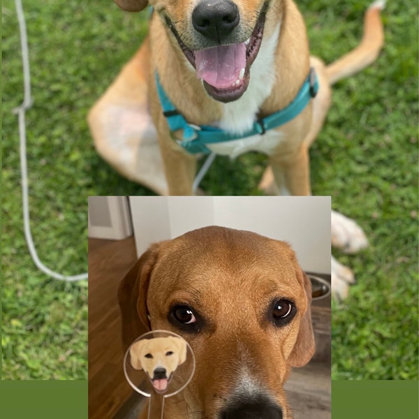 Wedding Swizzle Sticks, Dog Drink Stirrers, Dog Signature Cocktail ...