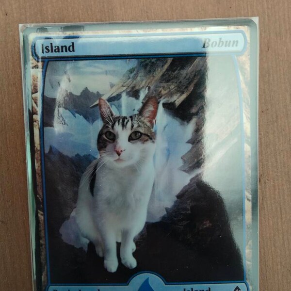 Personalized Pet Magic the Gathering Foil Land - Etsy