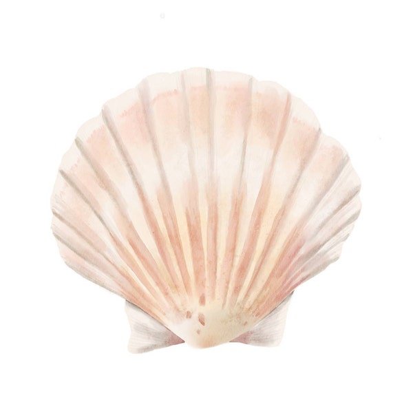 Conch Shell Print, Beach Nursery Decor, Printable Watercolor Sea Shell ...