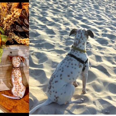 PET DOG CUSTOM Stained Glass Window Decor Sun Catcher Free Shipping - Etsy