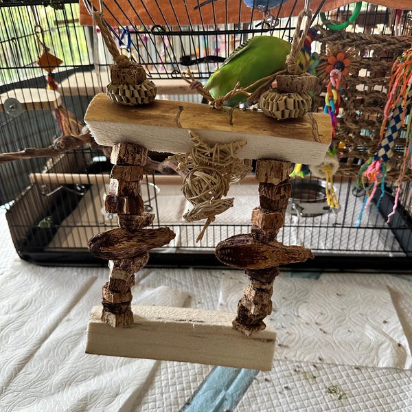 Botanical Bliss Seagrass Foraging Tray - Rose Blossom - Foraging Tray ...