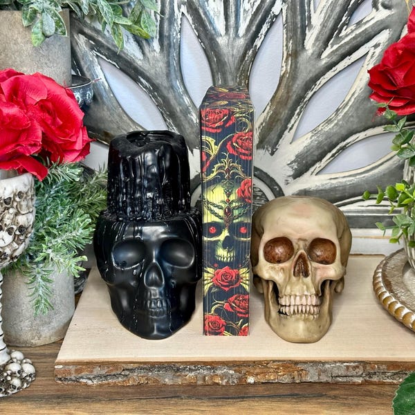 Beautiful Disaster by Jamie Mcguire Special Edition With Butterfly ...