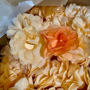 25 TRUFFLE HOLDERS Ferrero Rocher Wrapper Forminhas Para Doces ...