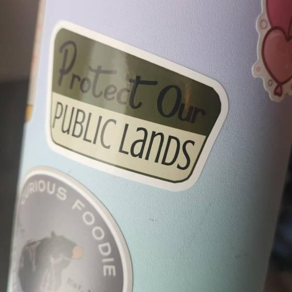 Tortoise Desert Scene Sticker, Desert Scene Sticker, Desert Vibes ...