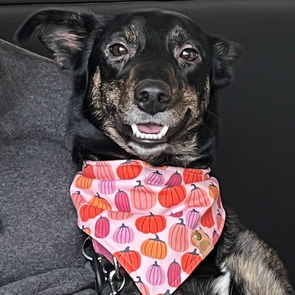 Fall Dog Bandana Fall Bandana Dog Gift Halloween Dog Bandana Pumpkin ...