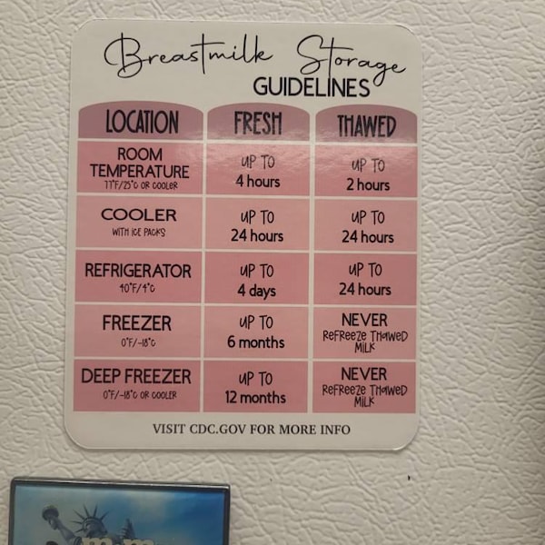Digital Download Printable Breastfeeding Storage Guidelines, Breastmilk ...