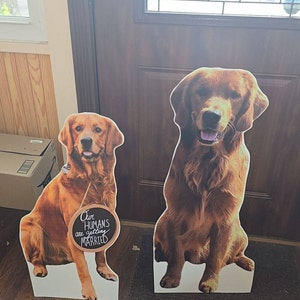 Fast One Birthday Backdrop Banner, Fast One Birthday Decorations, Race ...