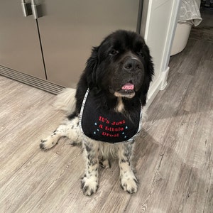 Dog Bib, Newfie Drool Bibs, Dog Slobber Bib, Big Dog Bibs, Dog Bibs for ...