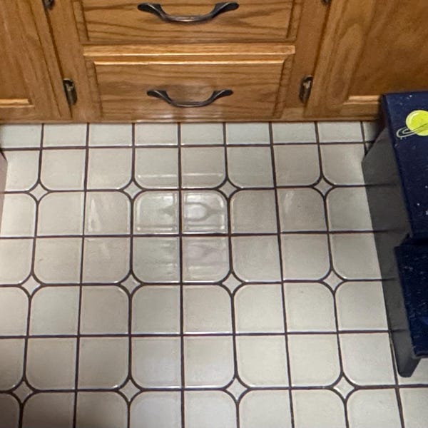 Kids Step Stool, Fox Step Stool, Wildlife Step Stool, Kids Foot Stool ...