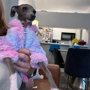 Italian Greyhound Rib Knit Pjs | Etsy