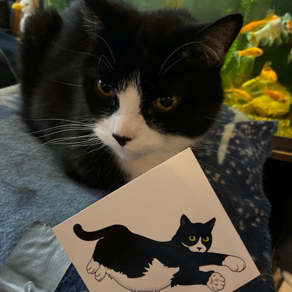 Tuxedo Cat Sticker Sheet for Tuxedo Cat Lovers Tuxedo Cat Decal Tuxedo ...