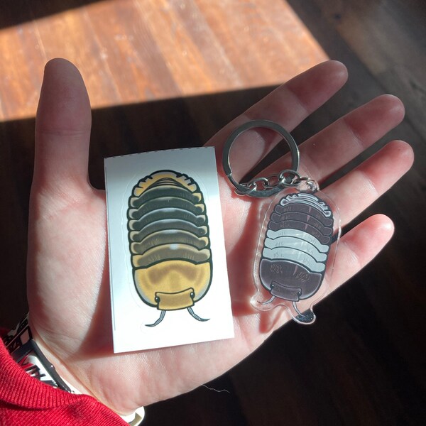 Isopod Artwork Acrylic Keychains Acrylic Cubaris Porcellio 20 Species ...