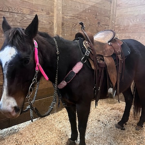 Custom Split Ear Horse Headstall - Etsy