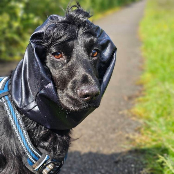 Flat Nylon Slip Lead - Dog Show Lead - Pointer, Setter - Etsy