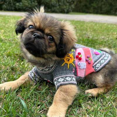 Blue Purple Tweed Dog PONCHO. all Sizes Handmade in the Andes of Peru ...