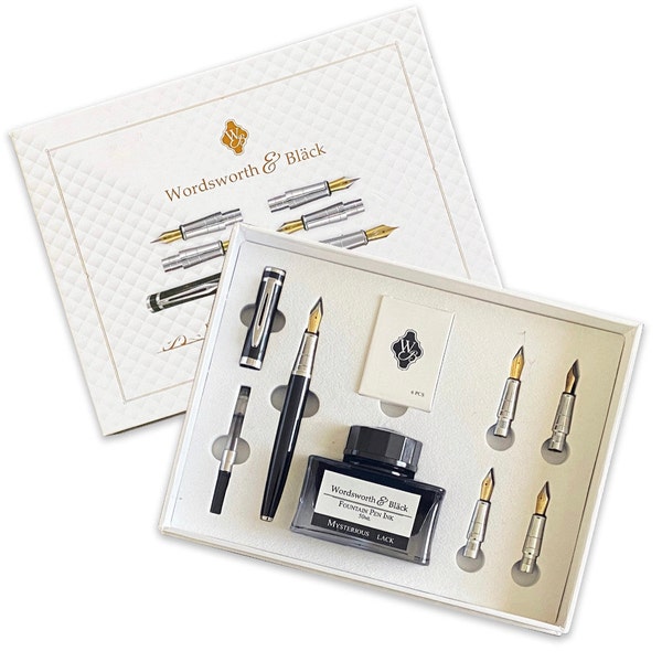 Fountain Pen Gift Set, Includes Ink Bottle, 6 Ink Cartridges, Ink ...
