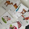 ANIMALS' HOME 63 Montessori Cards Flash Cards Nomenclature Flashcards ...