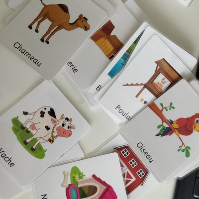 ANIMALS' HOME 63 Montessori Cards Flash Cards Nomenclature Flashcards ...