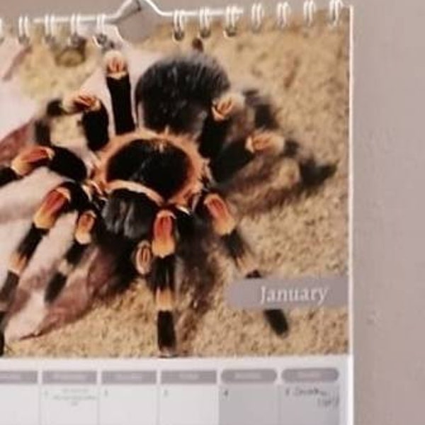Cavapoo Calendar 2025: Monthly Wall Calendar With Notes, Opens to A3 ...