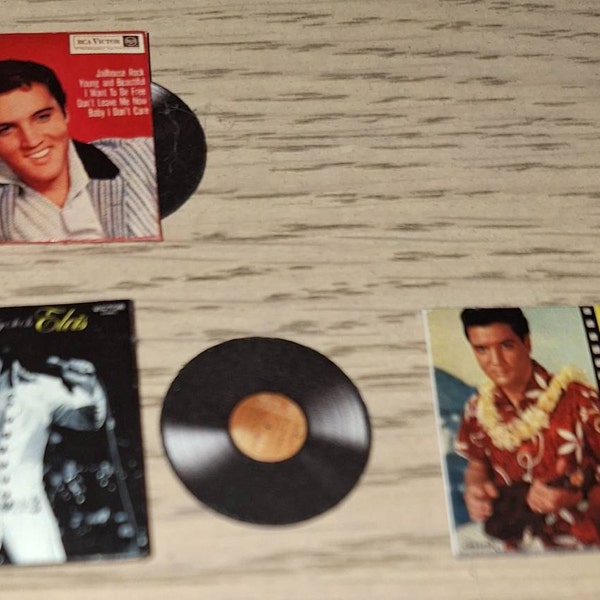 1/10 Scale Miniature Vinyl Records Vintage, Mini Vinyl Record - Etsy