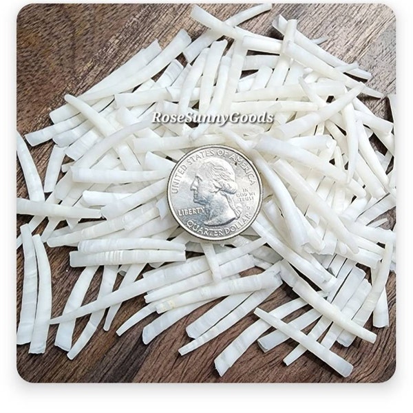 Rare Dentalium Shell and Abalone Shell Earrings, Sterling Silver Ear ...