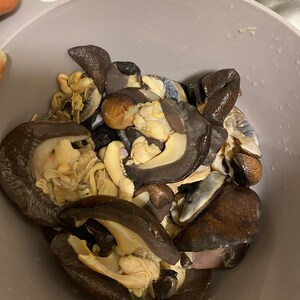 Asa Fish aka Eja Osan Dansarki Azu Asa Mangala 3 - Etsy