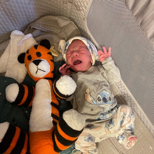 Stuffed Hobbes Plush Tiger 14" Character Collectable - Etsy