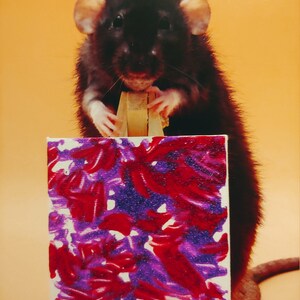 Rat Painting 3x3 - Etsy