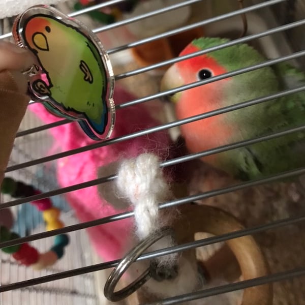 Dangling Lovebird Keychain - Etsy