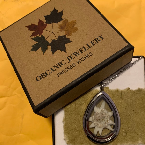 Real Pressed Edelweiss Locket | Romantic Flower of the Alps Silver ...