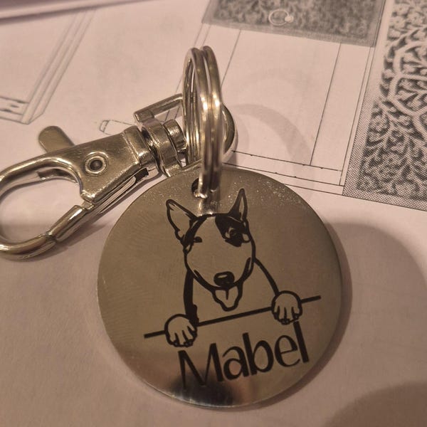 Dog Tag, Name Tag, Pet ID, Dog Name Disc, Engraved Stainless Steel ...