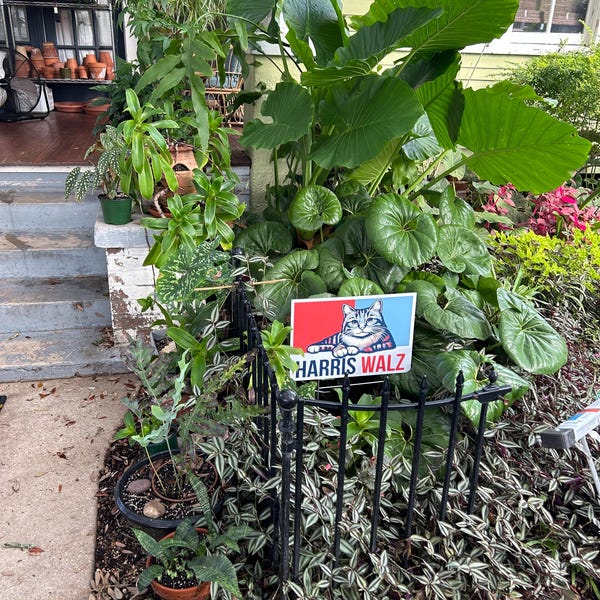 Jesus Christ 24 Only Jesus Can Save This Nation Sticker Vinyl Decal ...