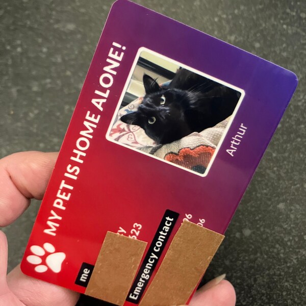 Custom Photo ID Card - Personalised Biodegradable Plastic Identity Card ...