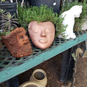 Face Wall Planter concrete NO PLANTS | Etsy