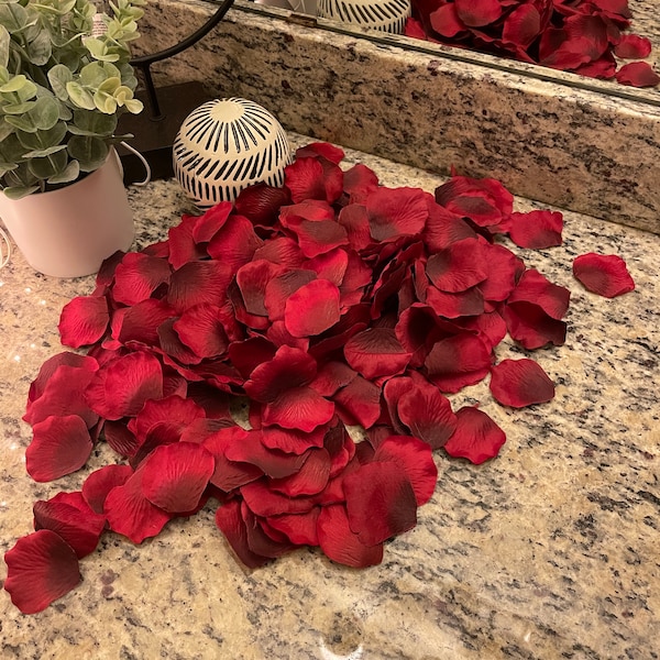 Red Silk Rose Petals, 300 Petals - Etsy