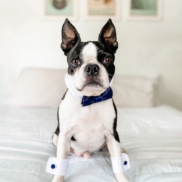 Dog Cuffs~non-slip Feature~dog Tuxedo~dog Cuffs With Satin Buttons to ...