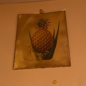 Pug Riding Triceratops Dinosaur Vintage Collage Print Tea | Etsy