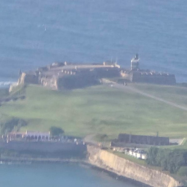 Tetrapleura Tetraptera /prekese / Aidan Tree.-1000g/1kg - Etsy