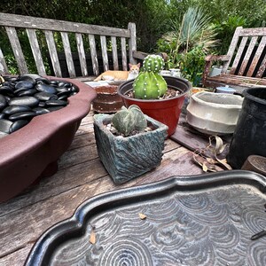 Pumice Substrate Ingredient for Succulent Cactus Bonsai Soil Mix ...