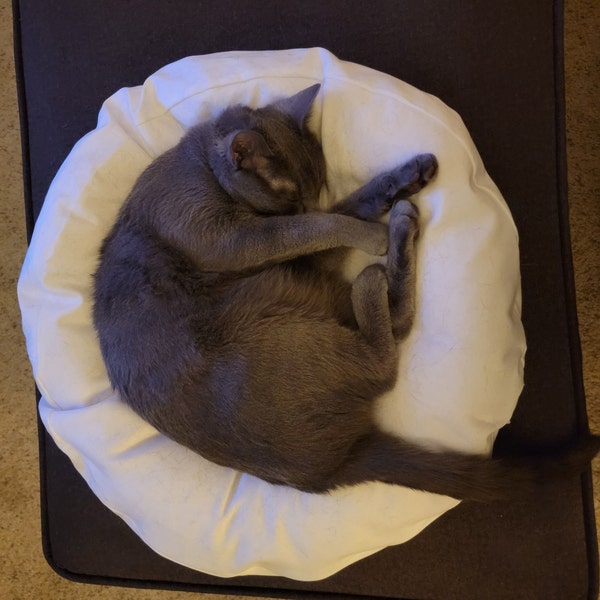 Nido Cat Bed Covers - Etsy