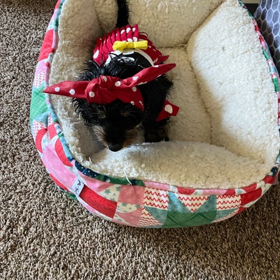 Dog Show Training Stack Box Toy Adult Size Stack Training 20 X 12 ...