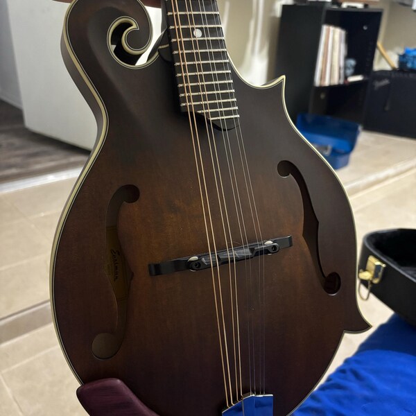 Premium Instrument Case Stand for Guitar, Violin, Mandolin, Banjo ...