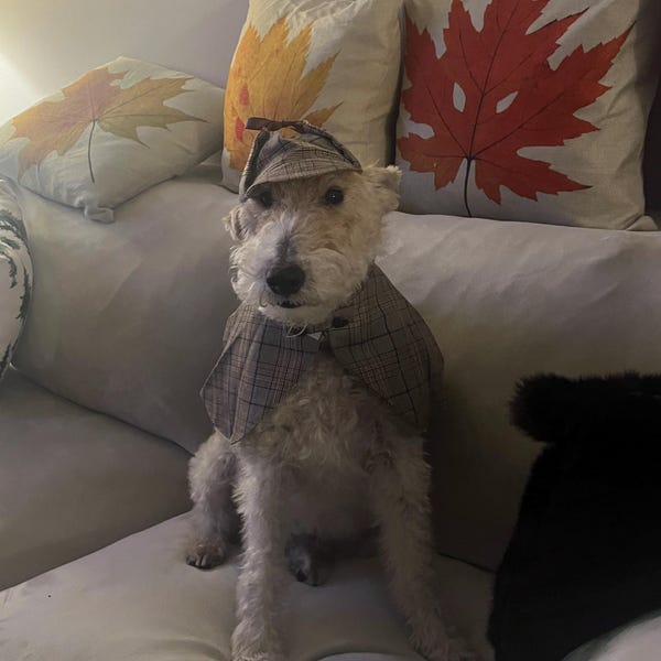Dog Detective Costume Halloween, Deerstalker Hat and Cape for Large ...