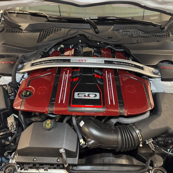 2020-2022 Ford Mustang GT500 Strut Tower Covers Custom Fitted (predator ...